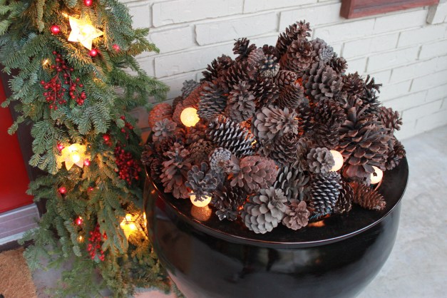 Christmas Lights Outside our House | THE CAVENDER DIARY
