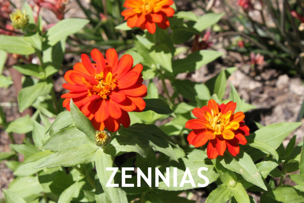 Finally Finished Those Flower Beds | THE CAVENDER DIARY