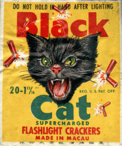 Black Cats | THE CAVENDER DIARY