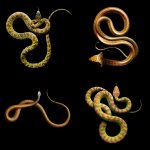 Mark Laita | THE CAVENDER DIARY