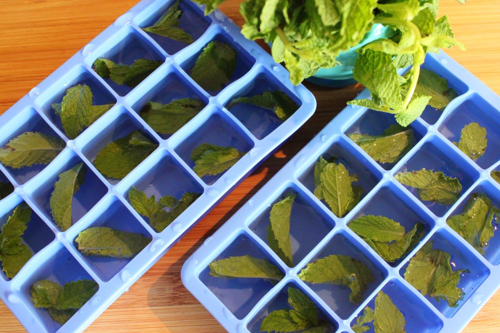 Mint Ice Cubes | THE CAVENDER DIARY