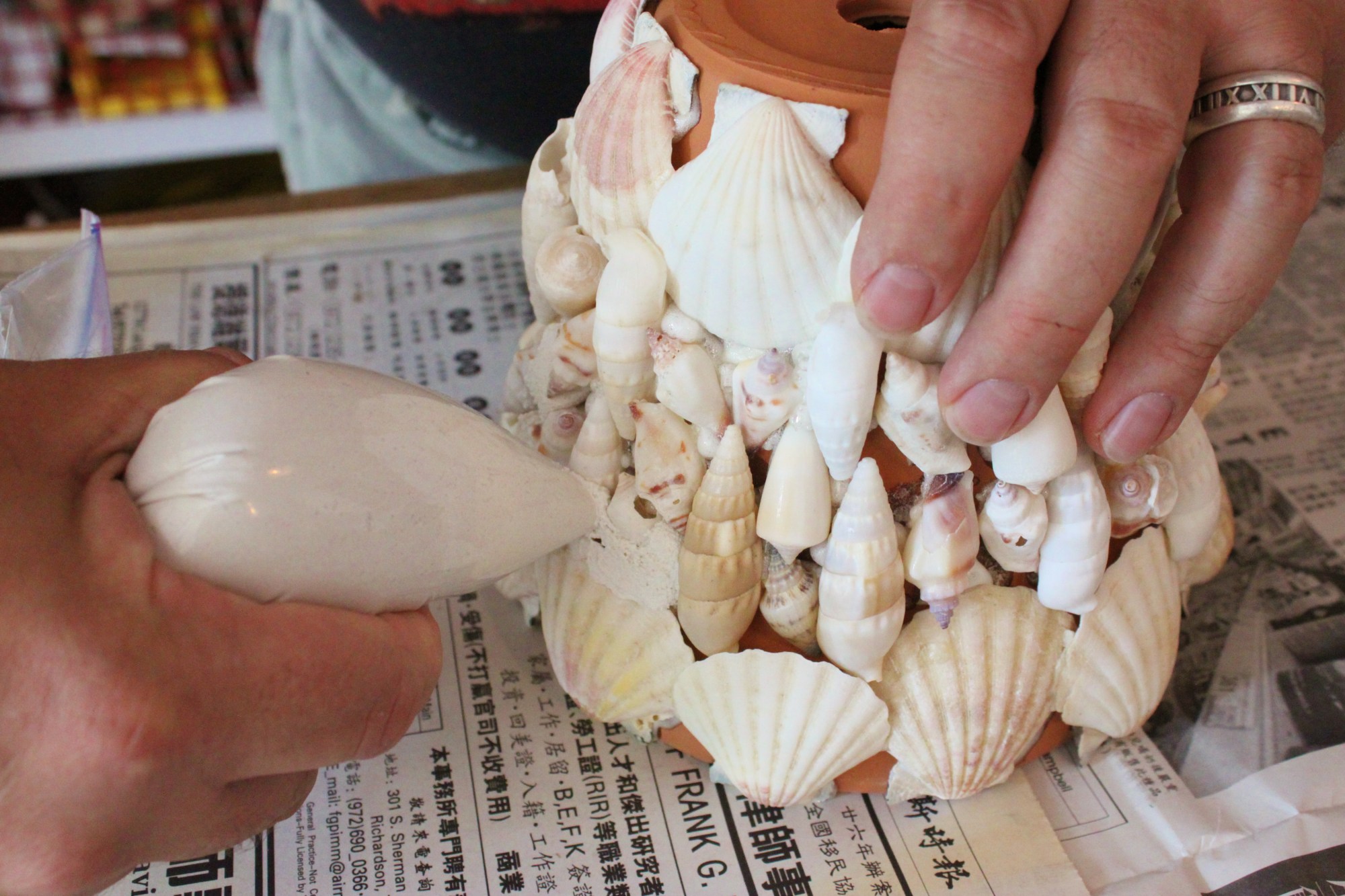 Sea Shell Flower Pot | THE CAVENDER DIARY