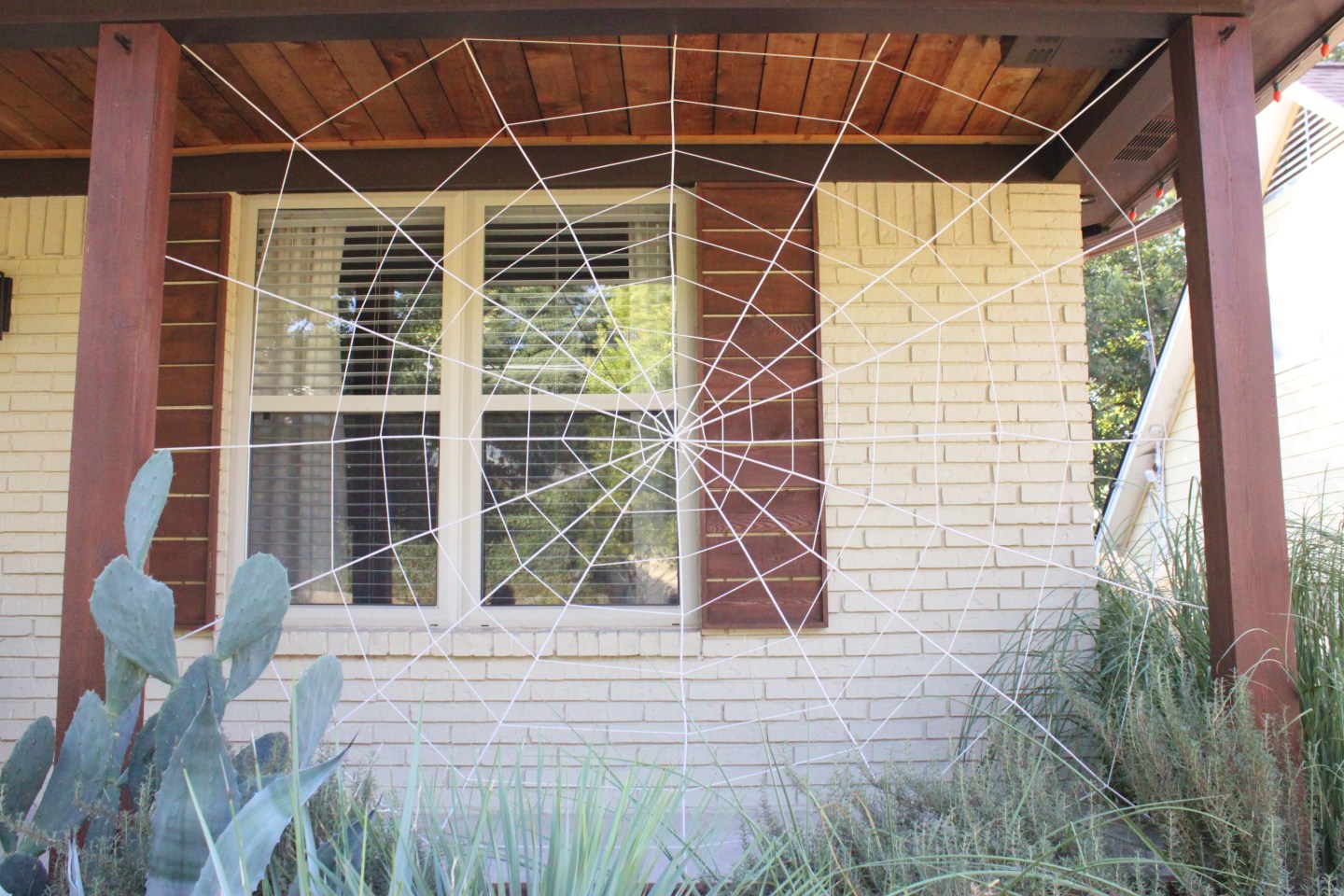 Giant Spider Web | THE CAVENDER DIARY