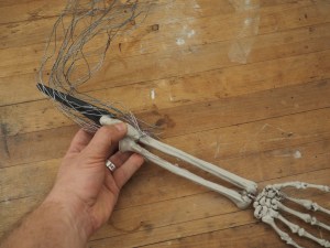 BOO! Did I Scare You? | THE CAVENDER DIARY