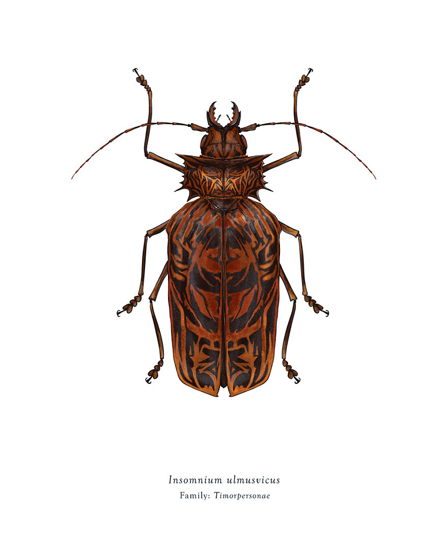 Monster Bugs | THE CAVENDER DIARY