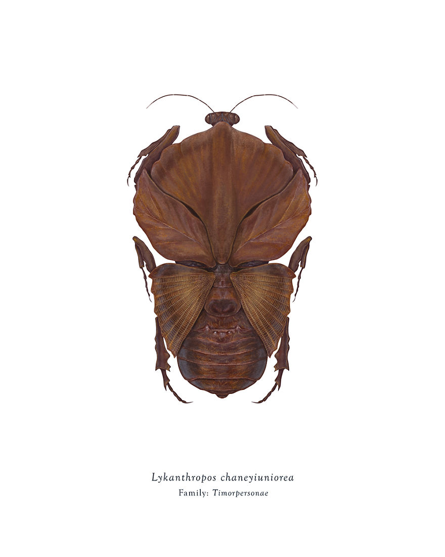 Monster Bugs | THE CAVENDER DIARY